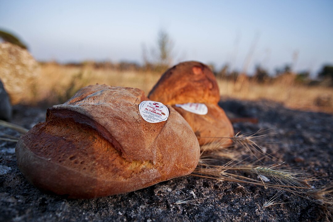 Altamura bread: the best in the world, fresh up to 10 days