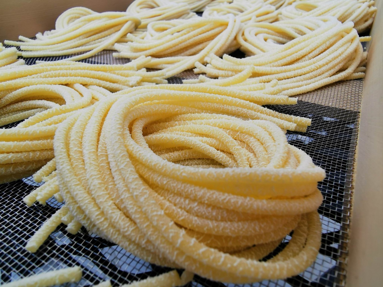 Bigoli, the lesser-known Italian pasta that rivals spaghetti